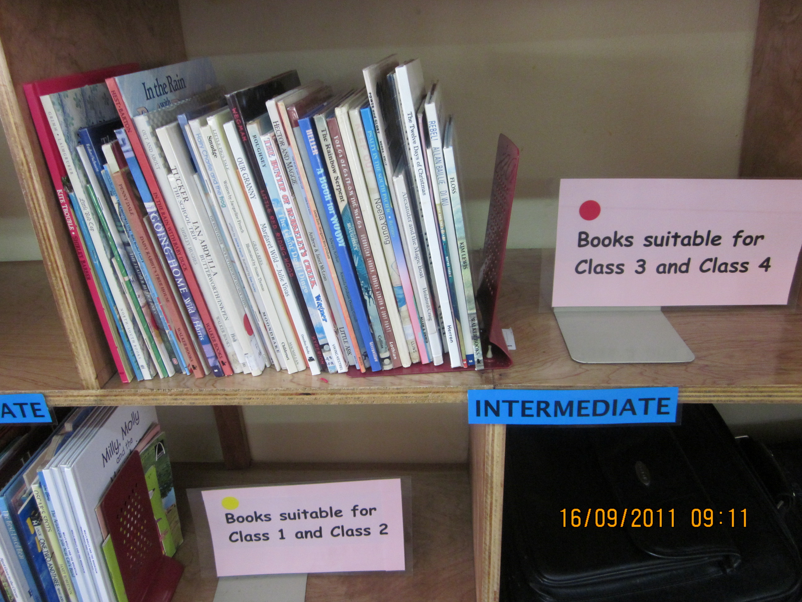 Creating library records on a spreadsheet | The SEE Project