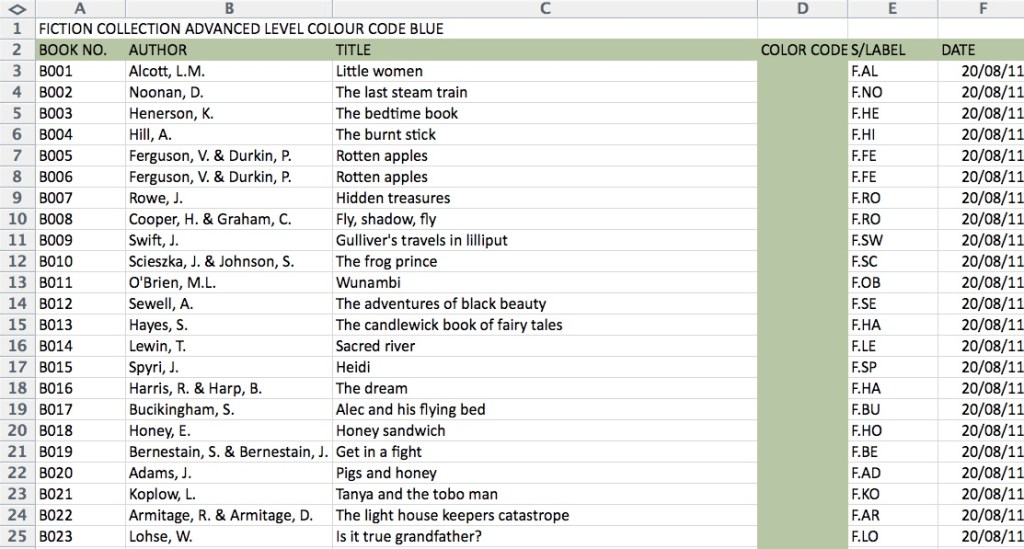 Creating library records on a spreadsheet | The SEE Project